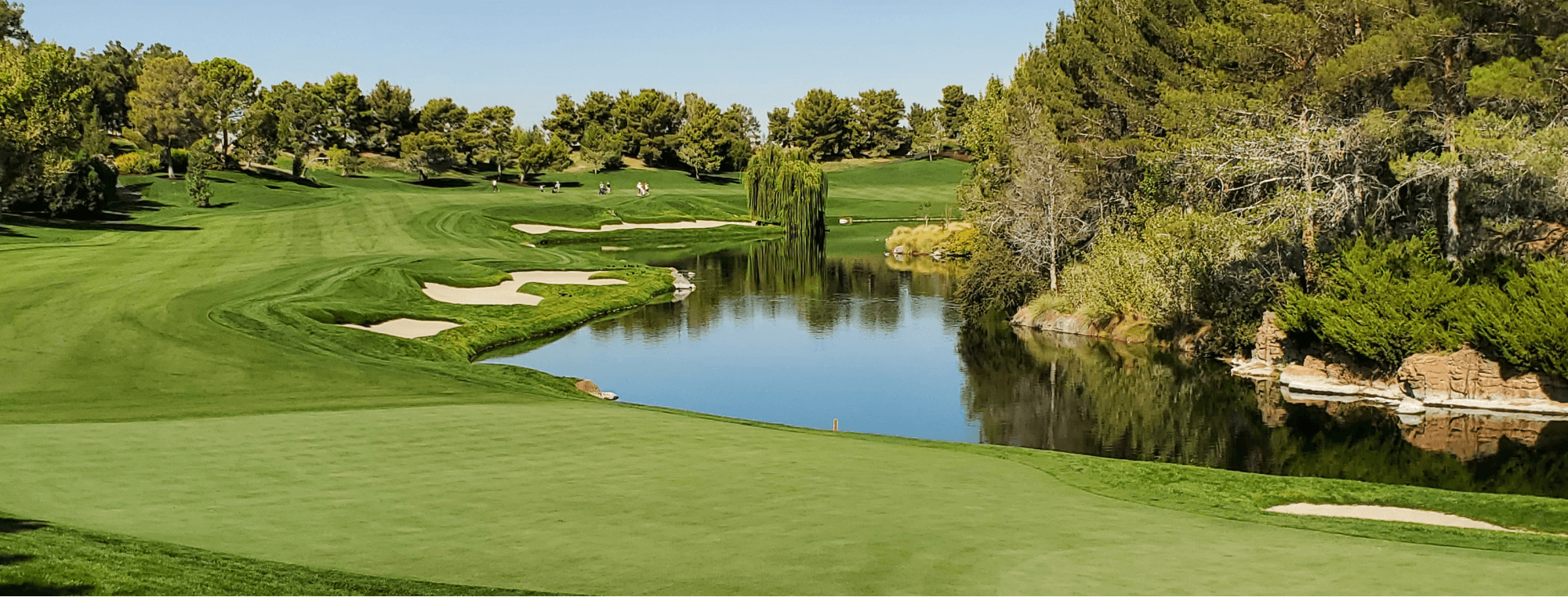 The Evolution of Coaching: Understanding the Role of Performance Golf ...
